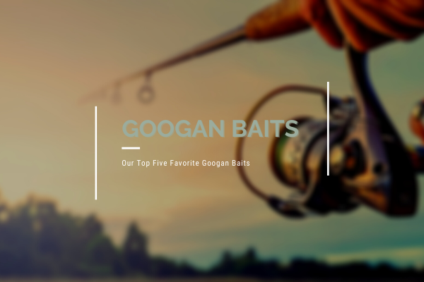 Top Five Googan Baits You Must Try