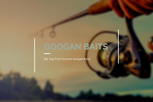 Top Five Googan Baits You Must Try